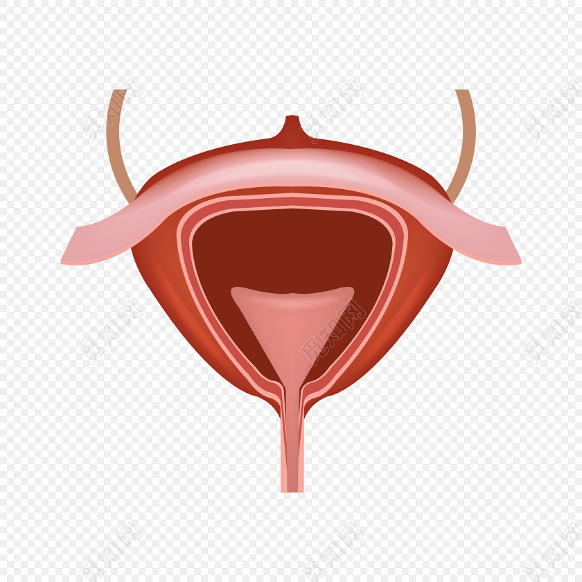 膀大腰圆卡通图片 膀大腰圆图片 卡通图片 第2页 大山谷图库