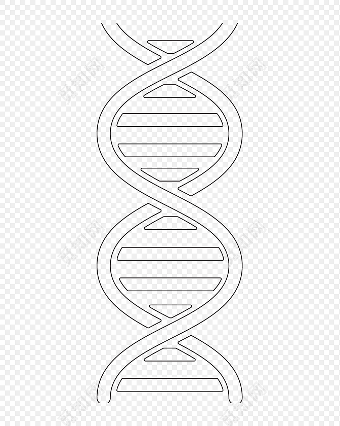 DNA怎么画 d简笔画 怎么画d 大山谷图库