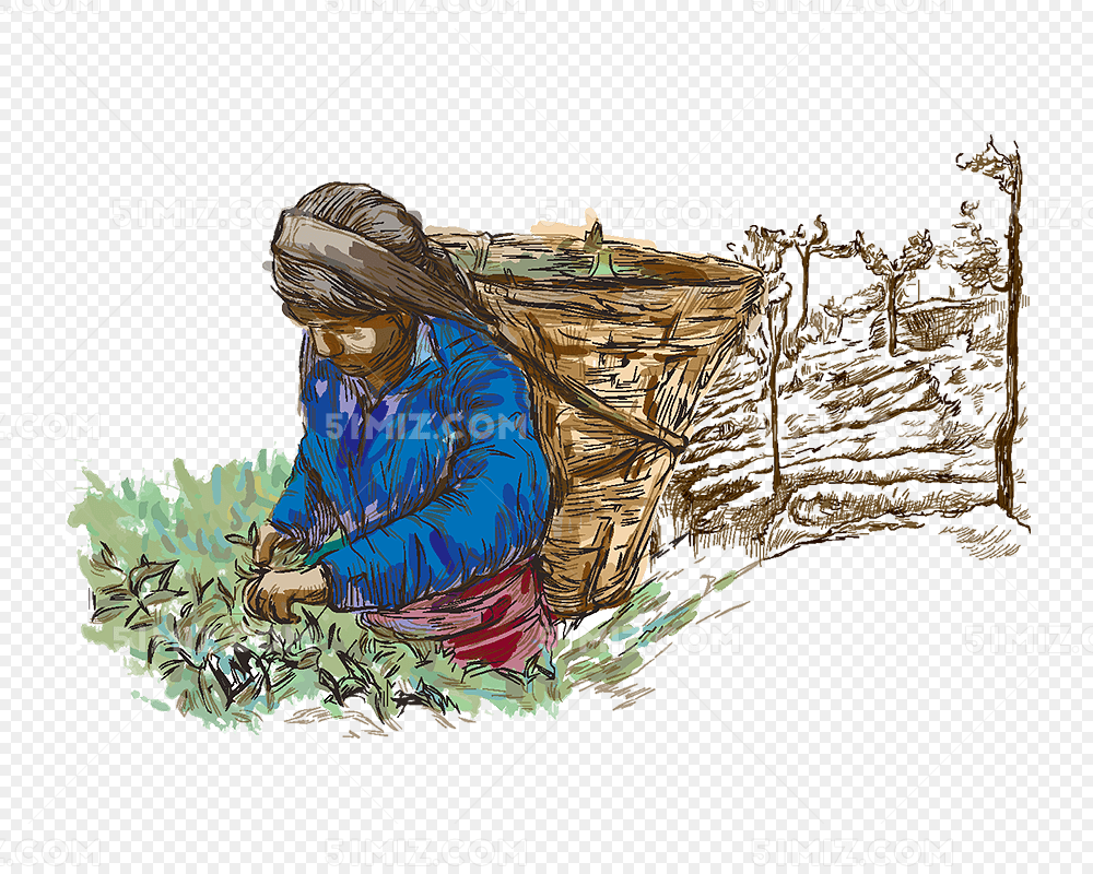 手绘茶农 茶农简笔画 老茶农图片 第4页 大山谷图库