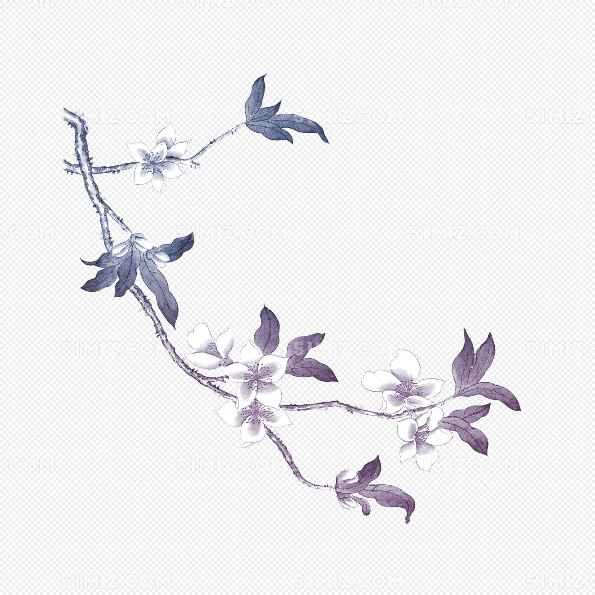 木兰花国画 画兰花 木兰花简笔画 大山谷图库