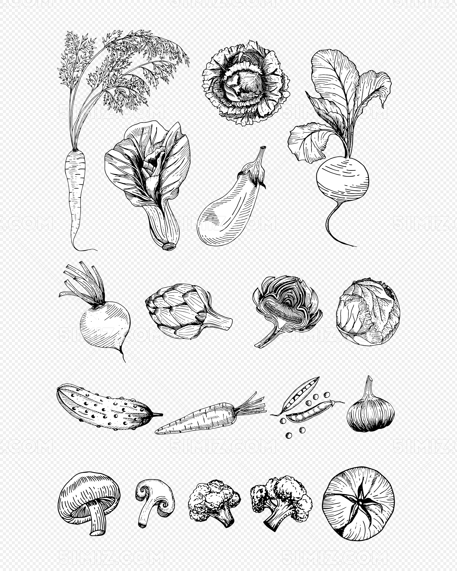 简易的蔬菜素描图片 蔬菜素描 菜素描图 大山谷图库