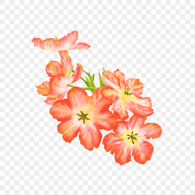 自然花草花卉红花手绘插画psd图片素材免费下载 觅知网