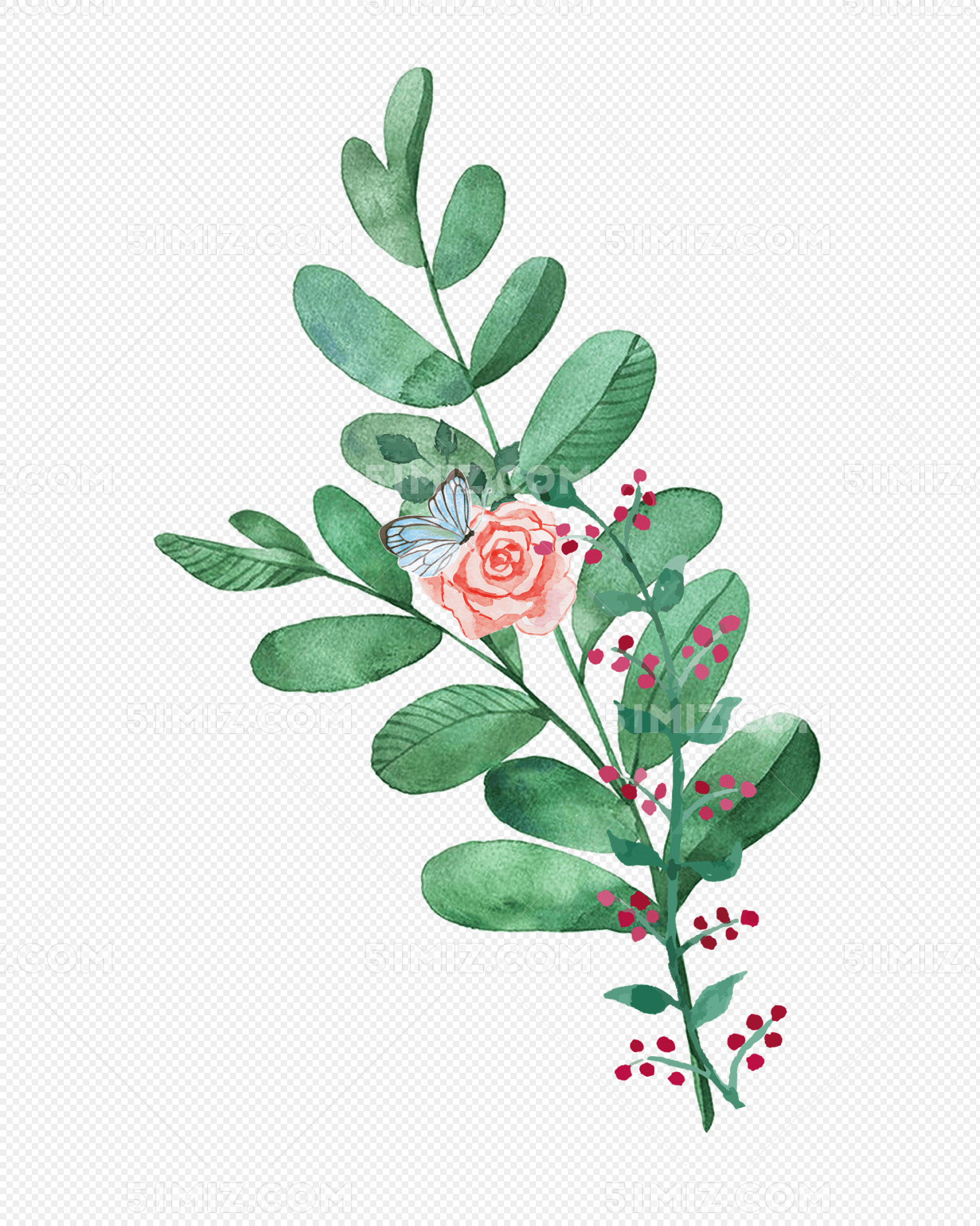 植物小清新图片 植物小清新头像 小清新绿植图片 大山谷图库