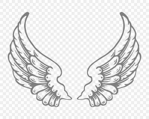 Png Png