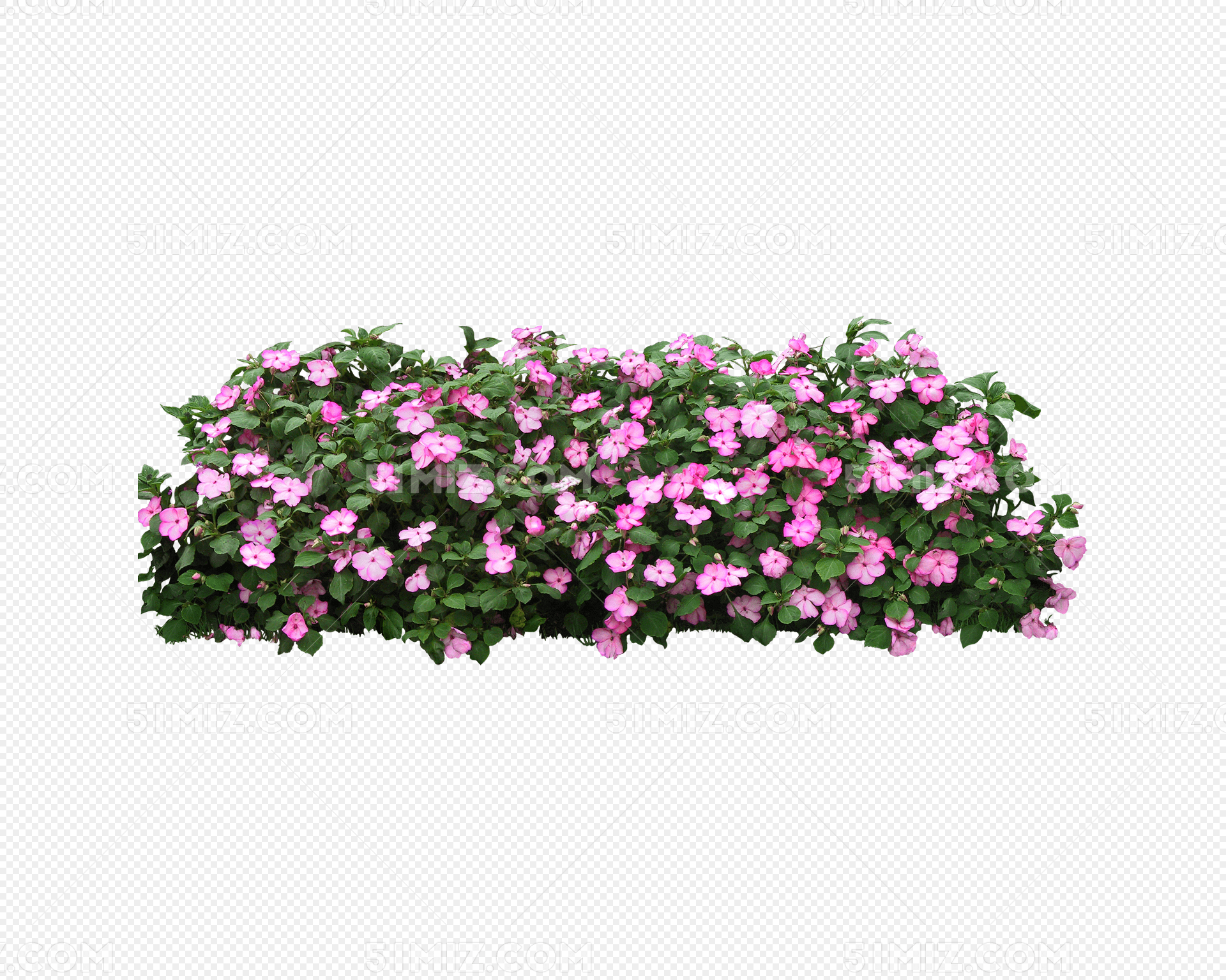 平面花 平面花怎么折简单好看 伤感说说吧