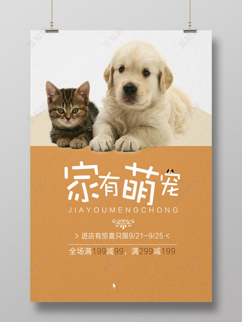 宠物店海报图片大全 宠物店图片大全 宠物店海报图 大山谷图库